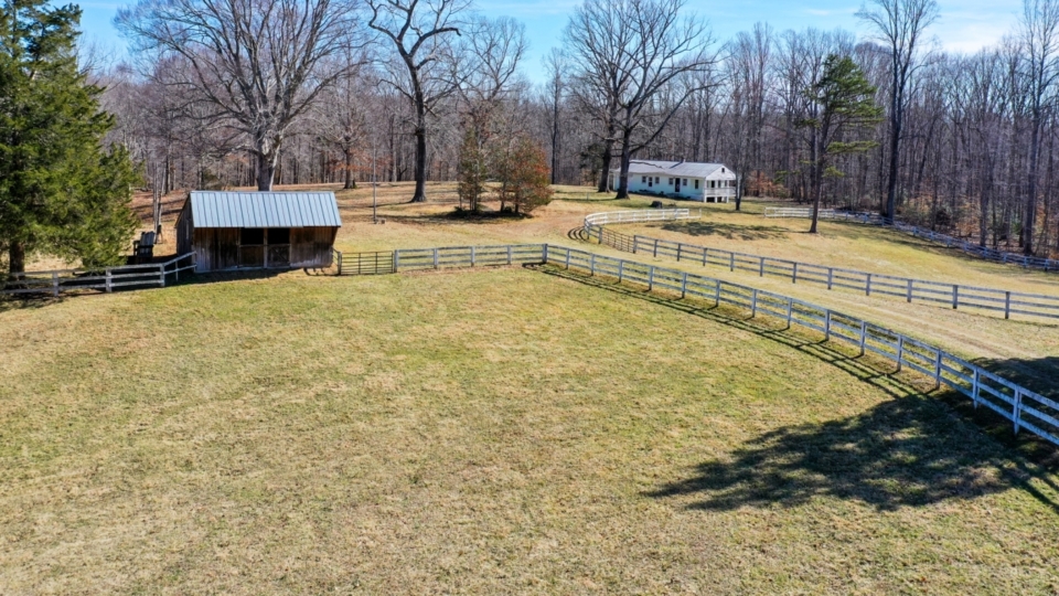 Celestial Farm | PAM DENT